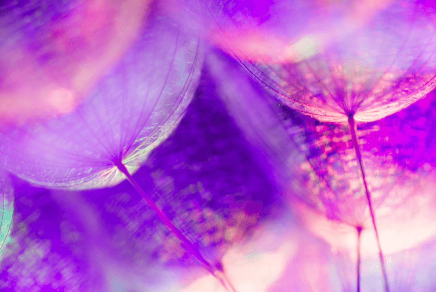 POV: Google Maps Community Feed