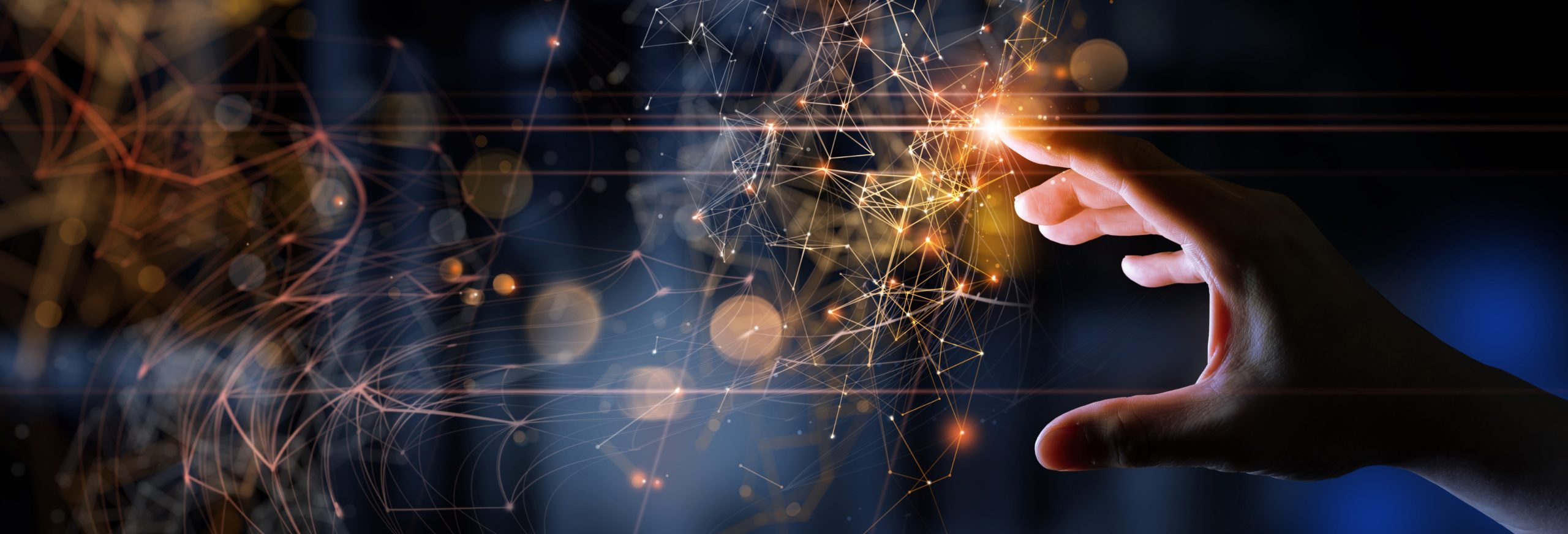 Fit for the Future: New Roles to support our strategic transform